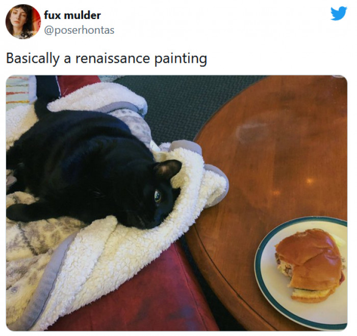 16 Wholesome Cat Tweets That Will Make Cat Lovers Purr