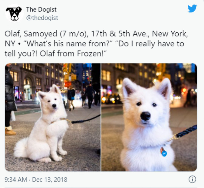 Scroll Through These Cute Animal Tweets For Your Daily Dose Of Serotonin