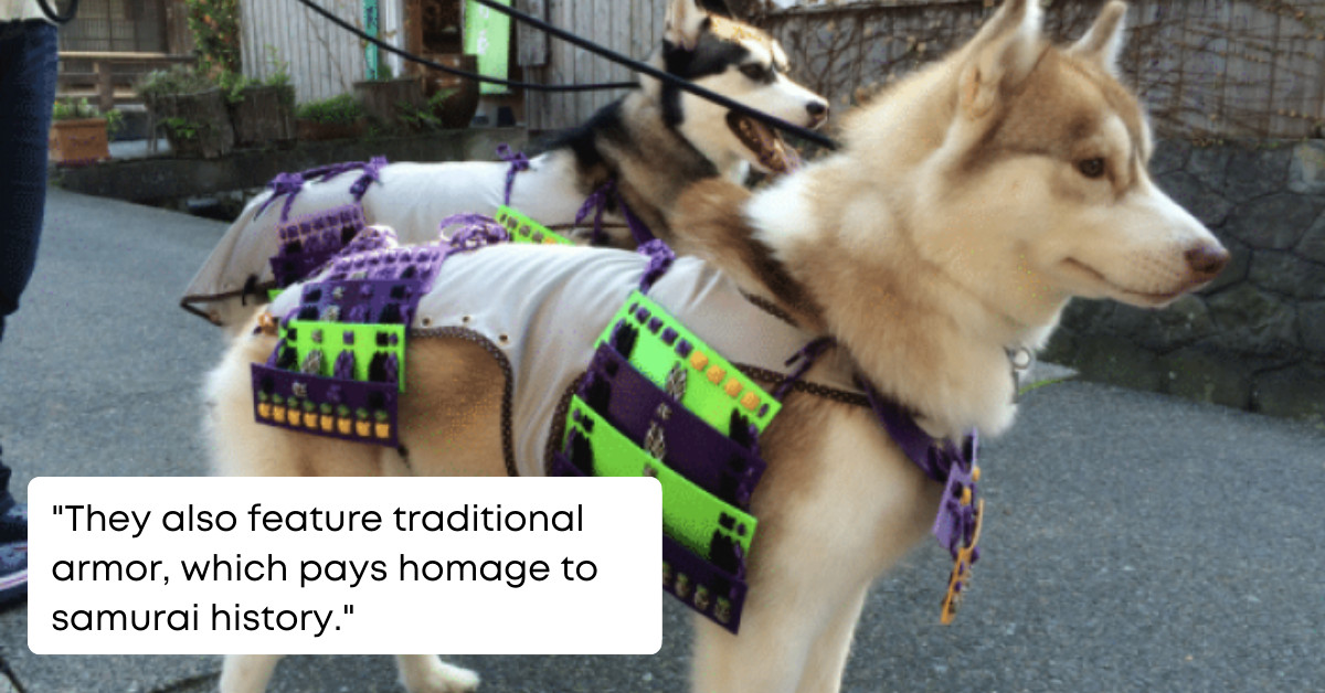 Store In Japan Creates Samurai Armor For Cats And Dogs