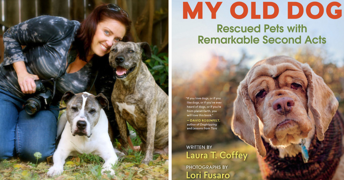 Senior Shelter Dogs Triumph, From Cody the K9 to Einstein