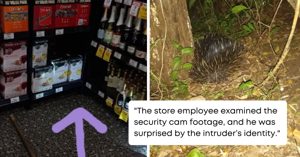 A Liquor Store Employee Finds The Store Ransacked In The Morning, And ...
