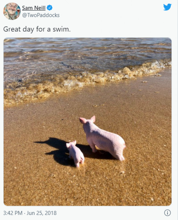 Scroll Through These Cute Animal Tweets For Your Daily Dose Of Serotonin