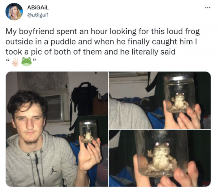 30+ Awesome Animal Tweets To Quickly Boost Your Serotonin Level This Week