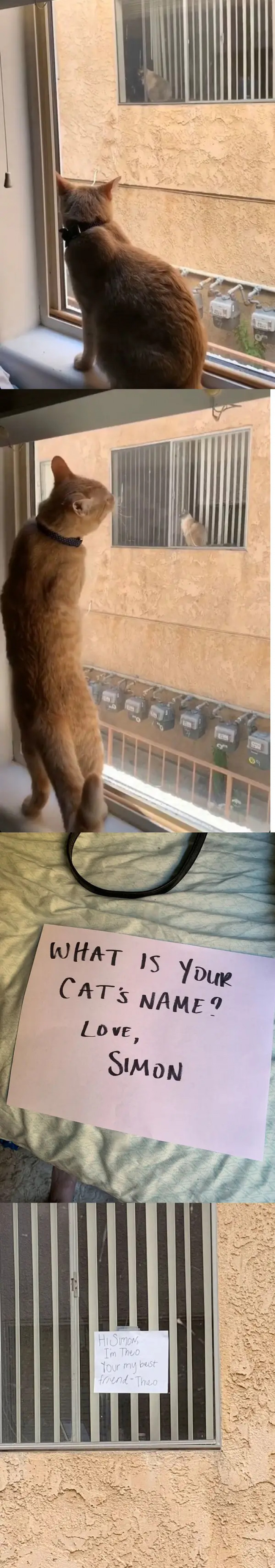 30+ Awesome Animal Tweets To Quickly Boost Your Serotonin Level This Week