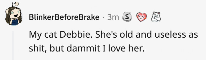 30 Redditors Answer Which Is The Best Animal You Can Train To Be A ...