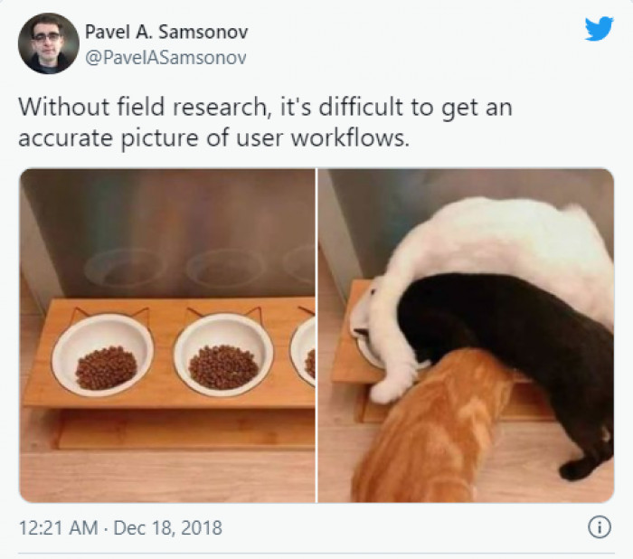 Scroll Through These Cute Animal Tweets For Your Daily Dose Of Serotonin