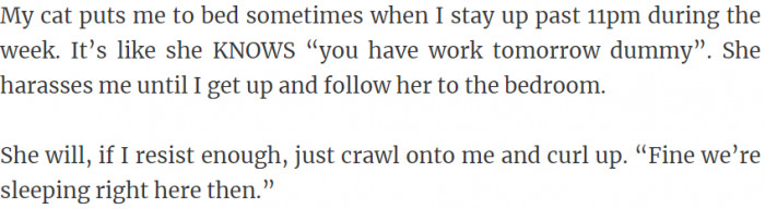 40 Weird and Funny Things Pets Do That Most People Would Find Hard To ...