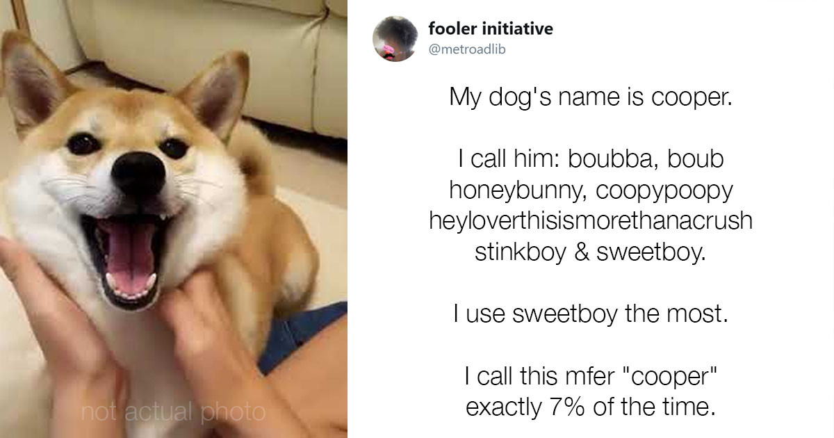 People Share Their Pet's Hilarious Nicknames With The Internet