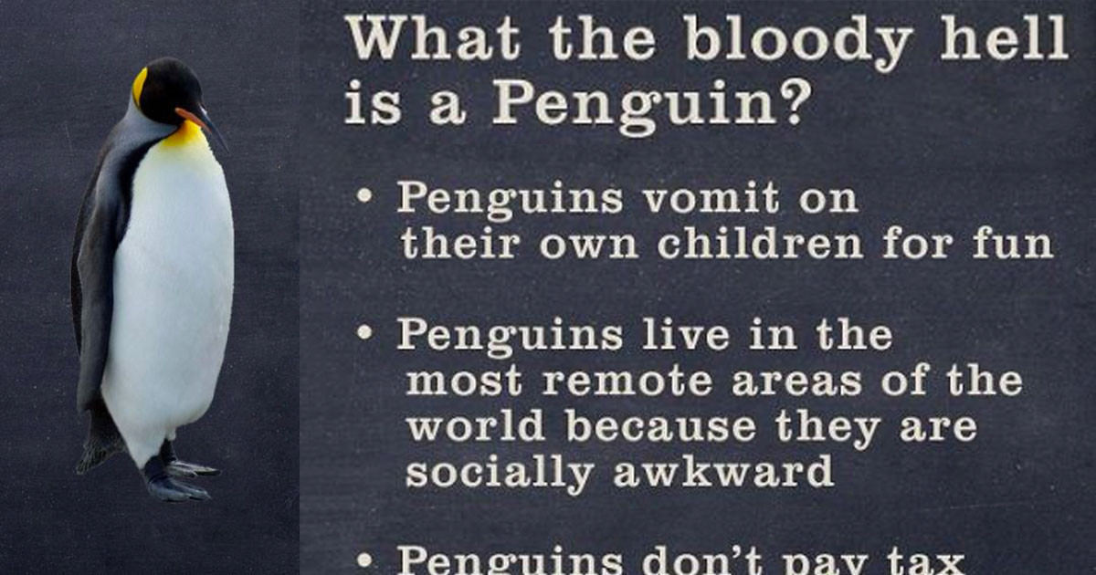 Dave TV Publishes Animal "Guides" That Are Actually Hilarious Satirical ...