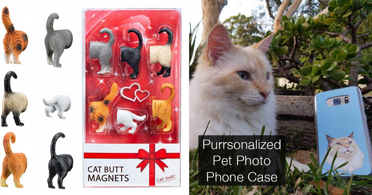 Purrfect Stocking Stuffers For Every Crazy Cat Person You Know
