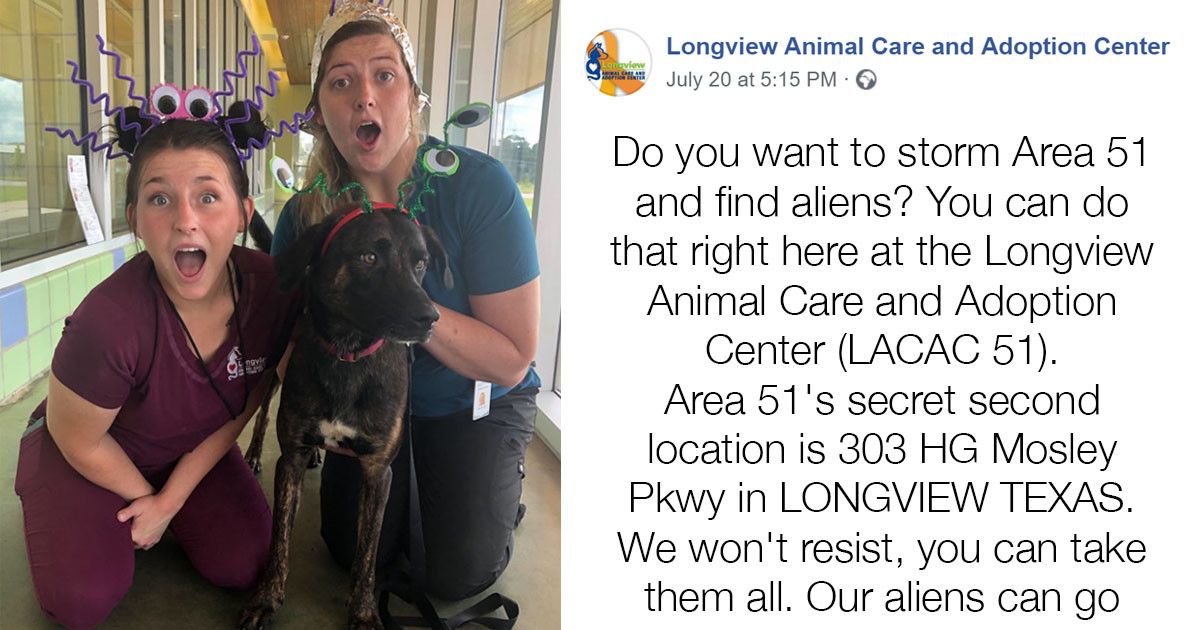Longview Shelter Uses Area 51 Memes to Get Puppies Adopted