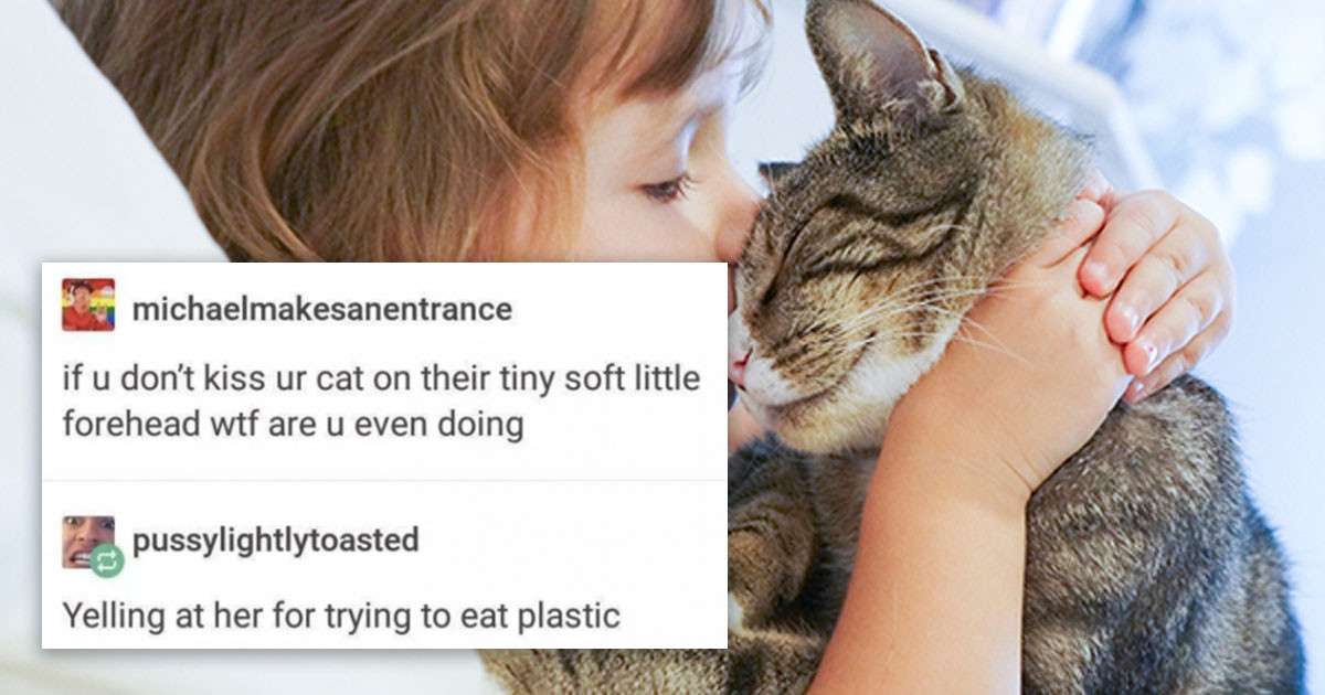 Ten Times Tumblr Proved Cats Were The Best Thing On The Internet