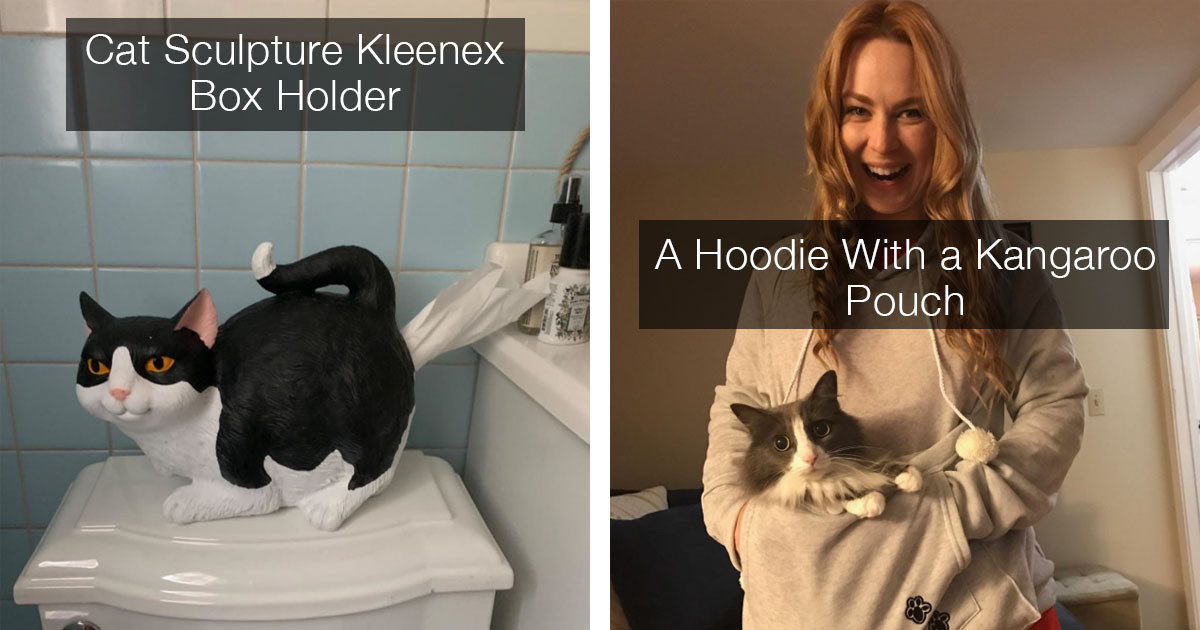 Weird But Somewhat Amazing Cat Products Every Cat Owner Will Find Hilarious
