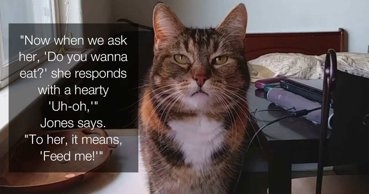 This Cat Can Say "Uh-Oh" Like A Human Every Time She Wants Food