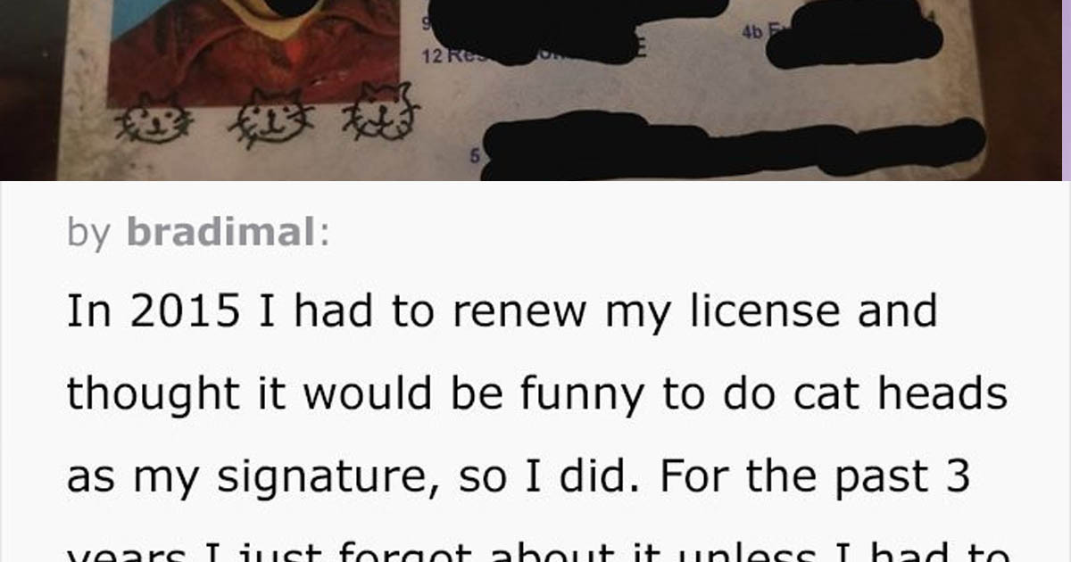 Guy Jokingly Makes The Signature On His ID Three Cat Heads, Regrets It ...
