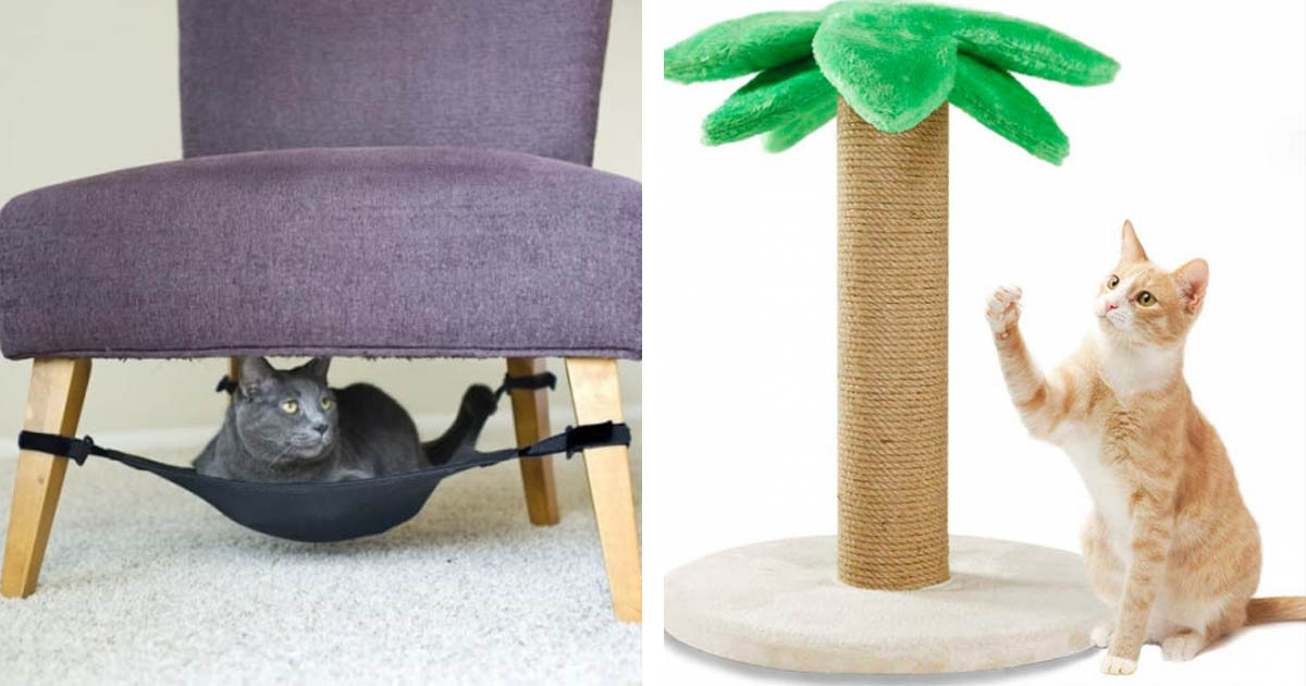 20 Obnoxiously Awesome Items Your Cat Definitely Needs
