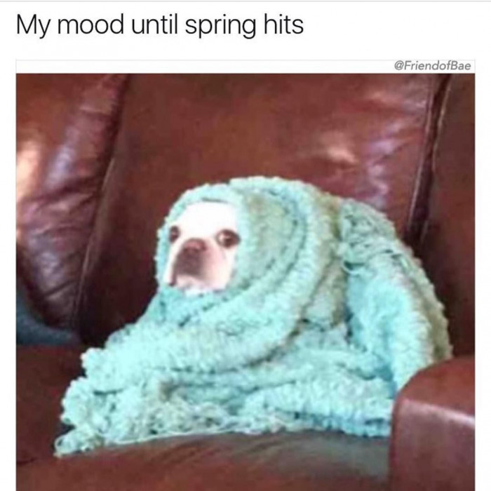 25 Relatable Post For People Who Are ALWAYS Cold