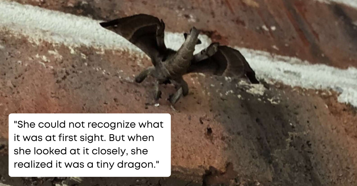 Woman Gets “Khaleesi” Nickname After Spotting Dragon-Like Moth