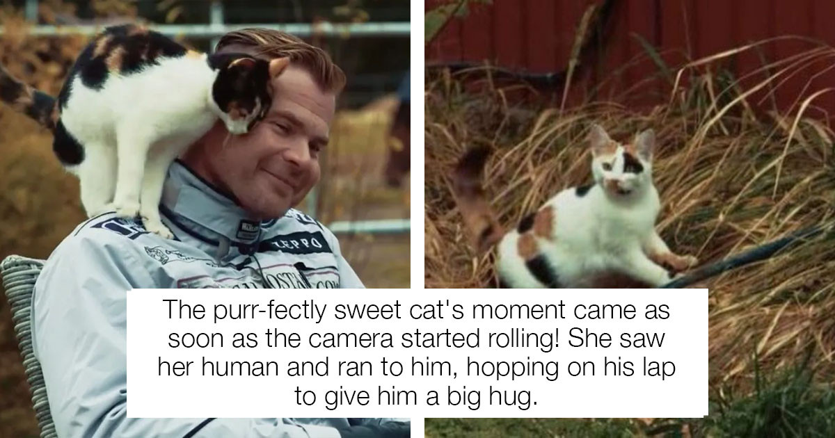 Adorable and Friendly Cat Interrupts TV Interview To Steal The Spotlight