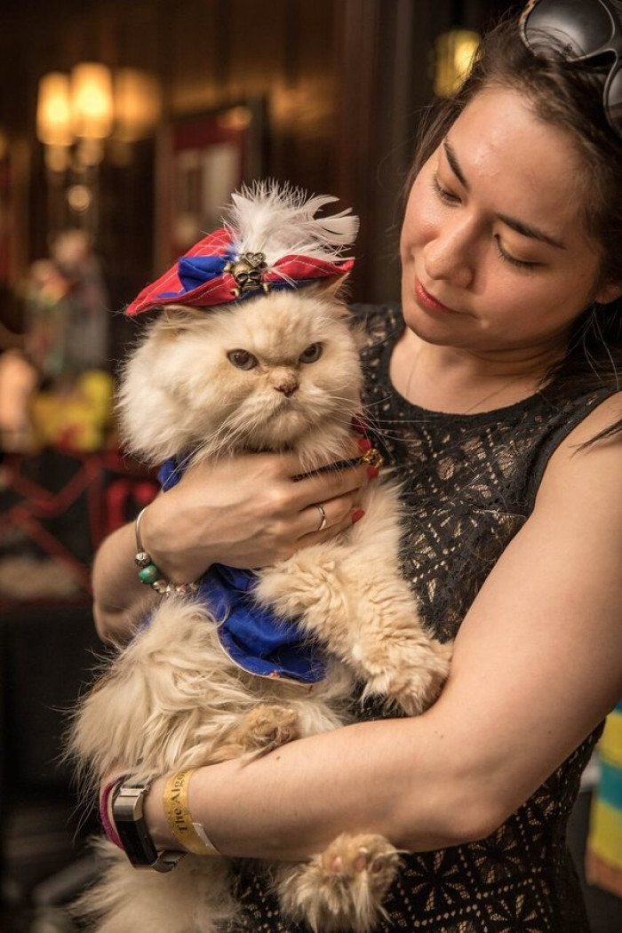This 1920's-Themed Cat Show Is The Cutest Thing Ever