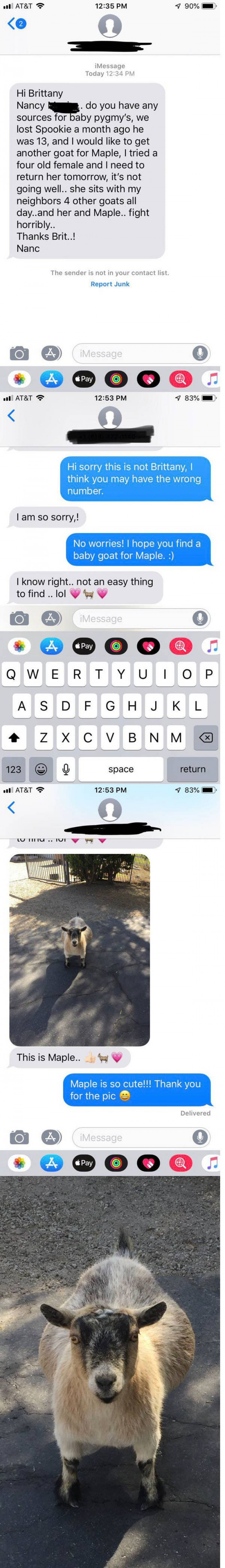 30+ Awesome Animal Tweets To Quickly Boost Your Serotonin Level This Week