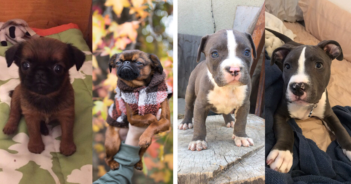 Transformation Tuesday Is Absolutely Adorable With People Sharing Their ...