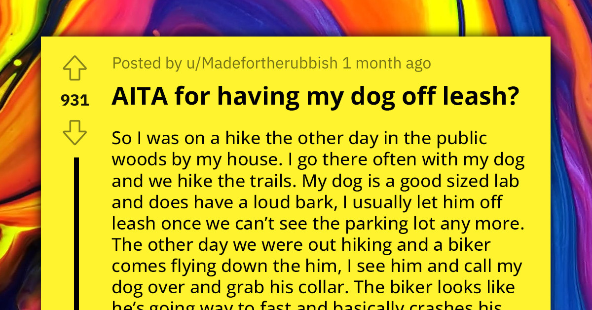 Biker Crashes In Off-Leash Dog Area And Blames Poor Labrador, Despite ...