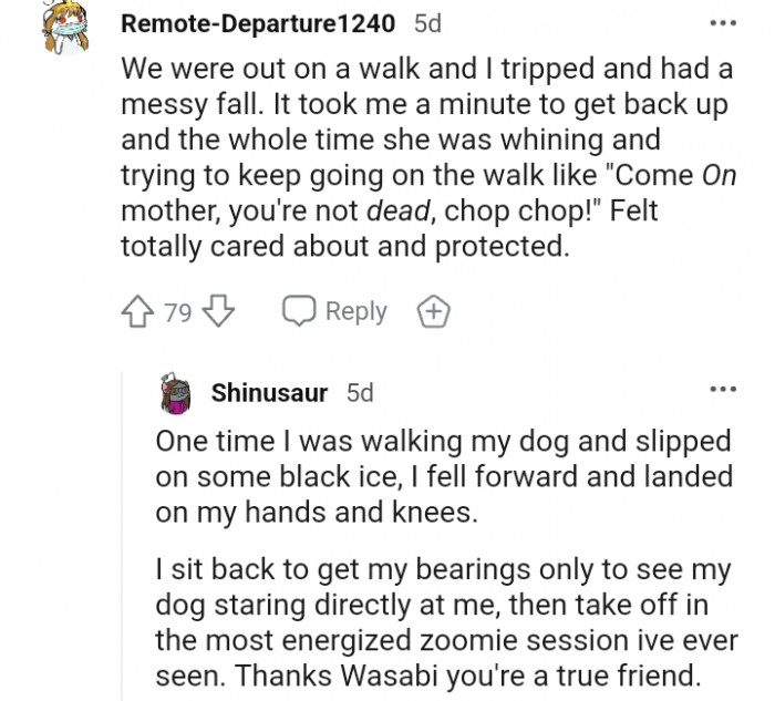 Redditors Share The Most Hilariously Selfish Things Their Dogs Have ...