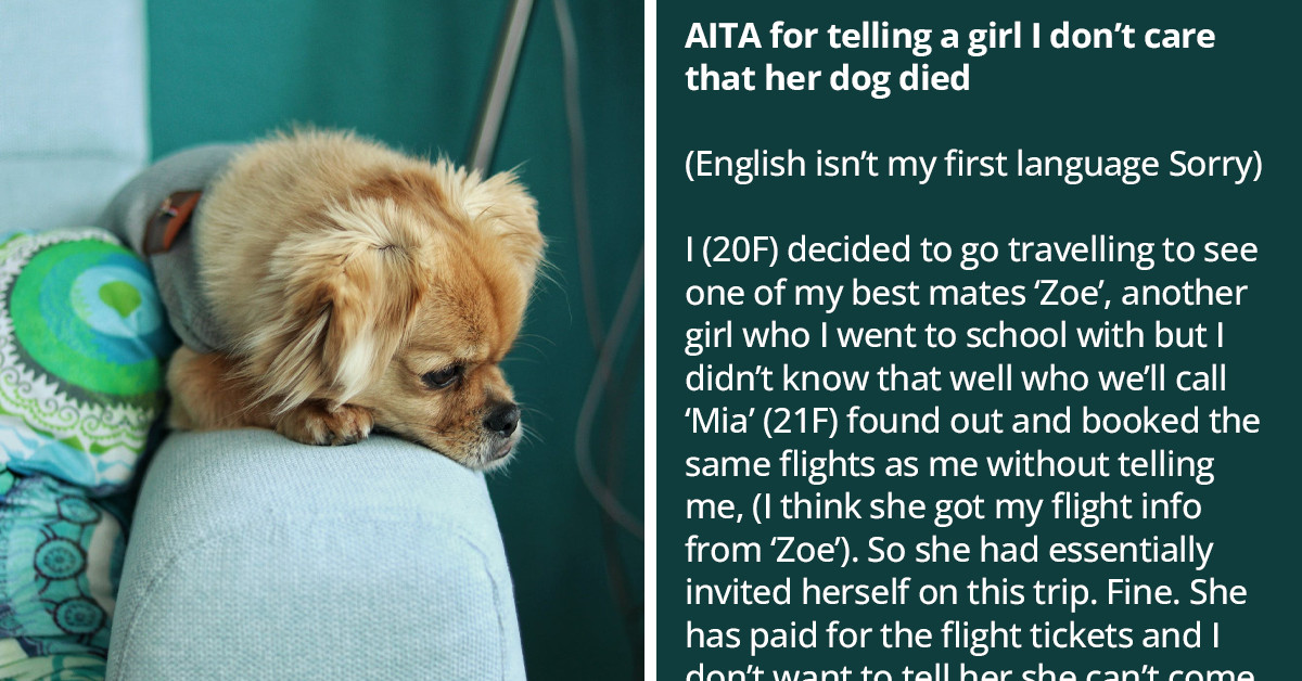 Redditor Tells Girl With ADHD That She Doesn't Care About Her Old Dog ...