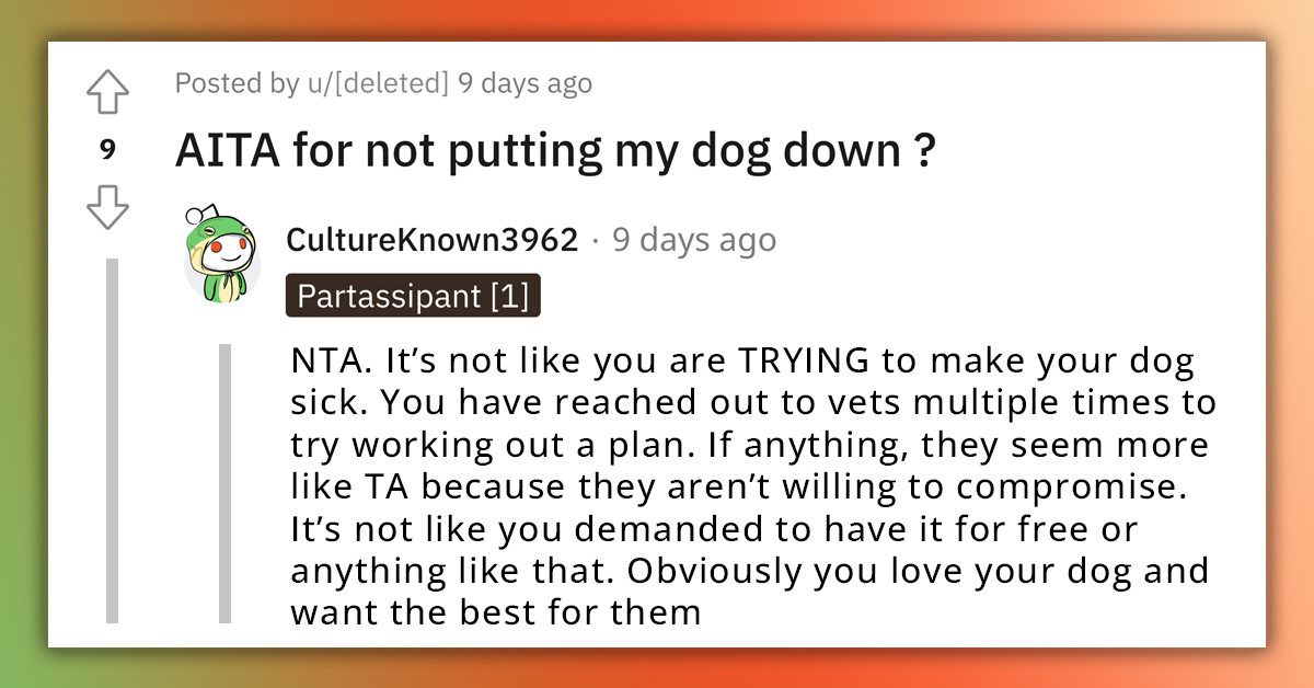 Redditor Refuses Partner's Suggestion To Put Her Sick Dog Down ...