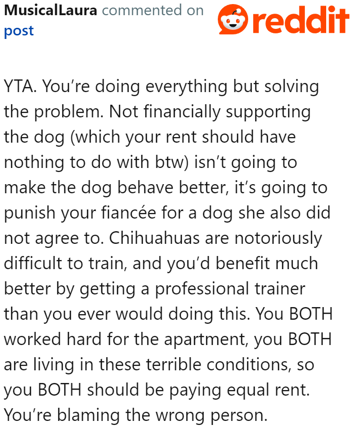 Tired Dog Lover Considers Stopping Financial Support for Problematic ...