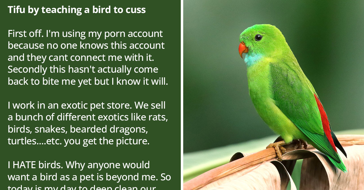 Pet Store Staff Freaks Out After Macaw Learns Cuss Words