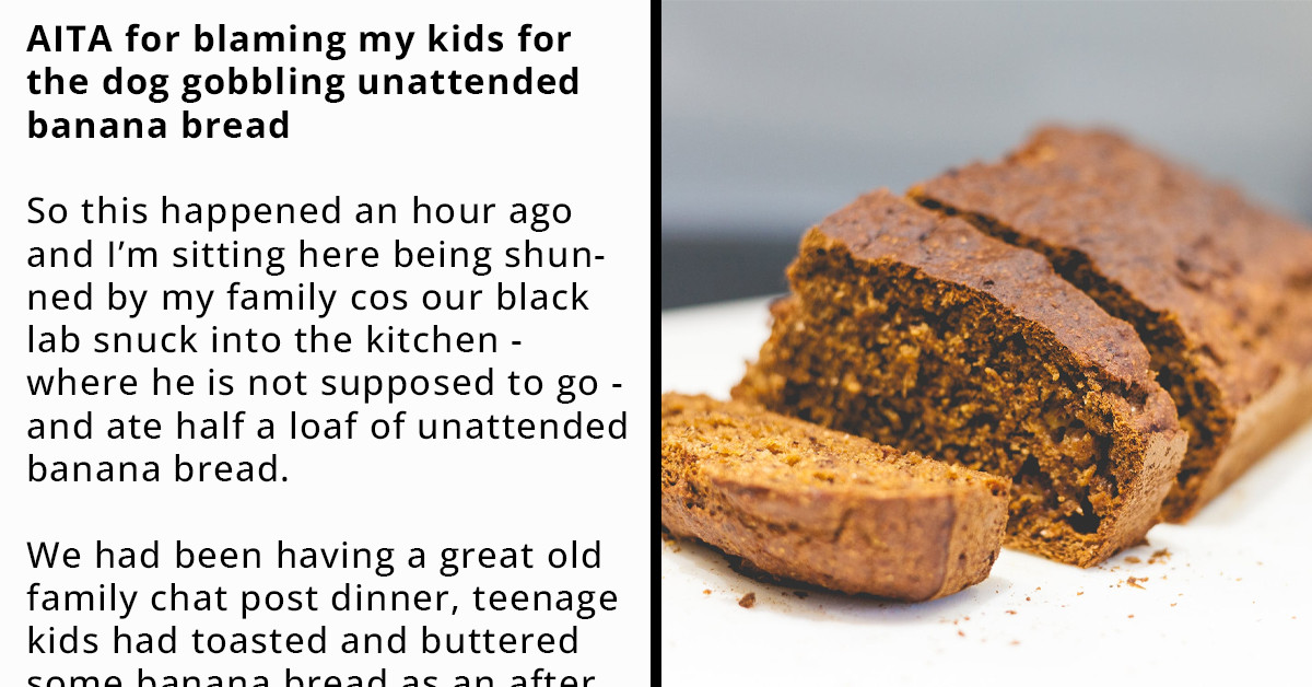 Redditor's Dog Gets Food Coma After Gobbling Banana Bread That Was Left ...