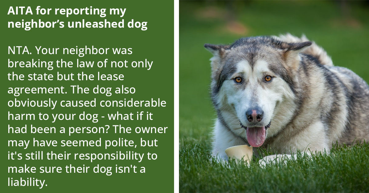 Woman Reports Neighbor’s Unleashed Dog Attack, Feels Guilty