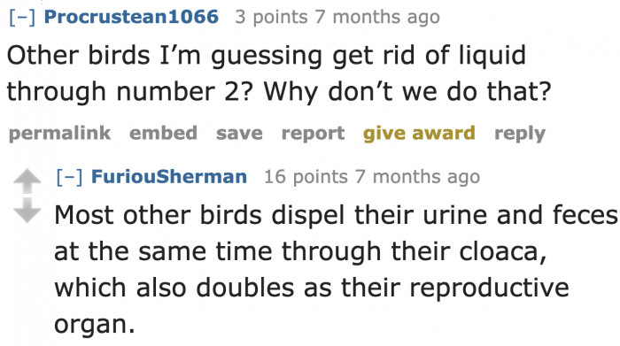 Learn Yet Another Unique Trait Of The Hummingbird From This 'Today I ...