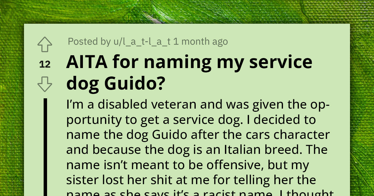 Disabled Man Names His Service Dog Guido, Sister Tells Him It Is Racist ...