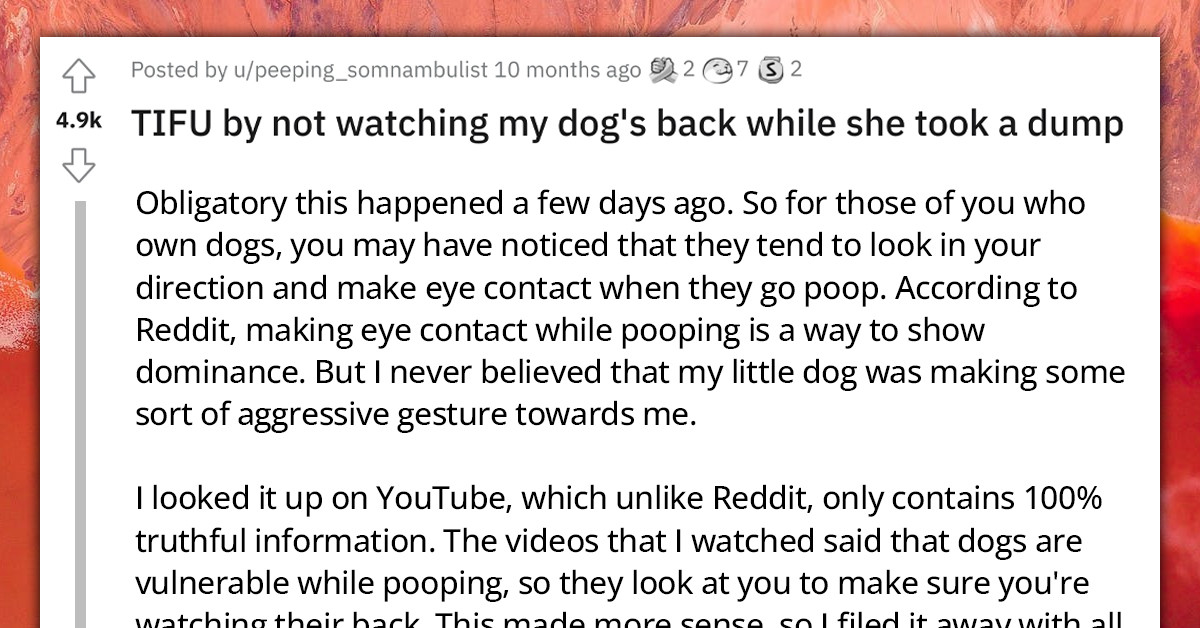 Redditor Shares Story Of How He Failed His Dog By Not Watching Her Back ...