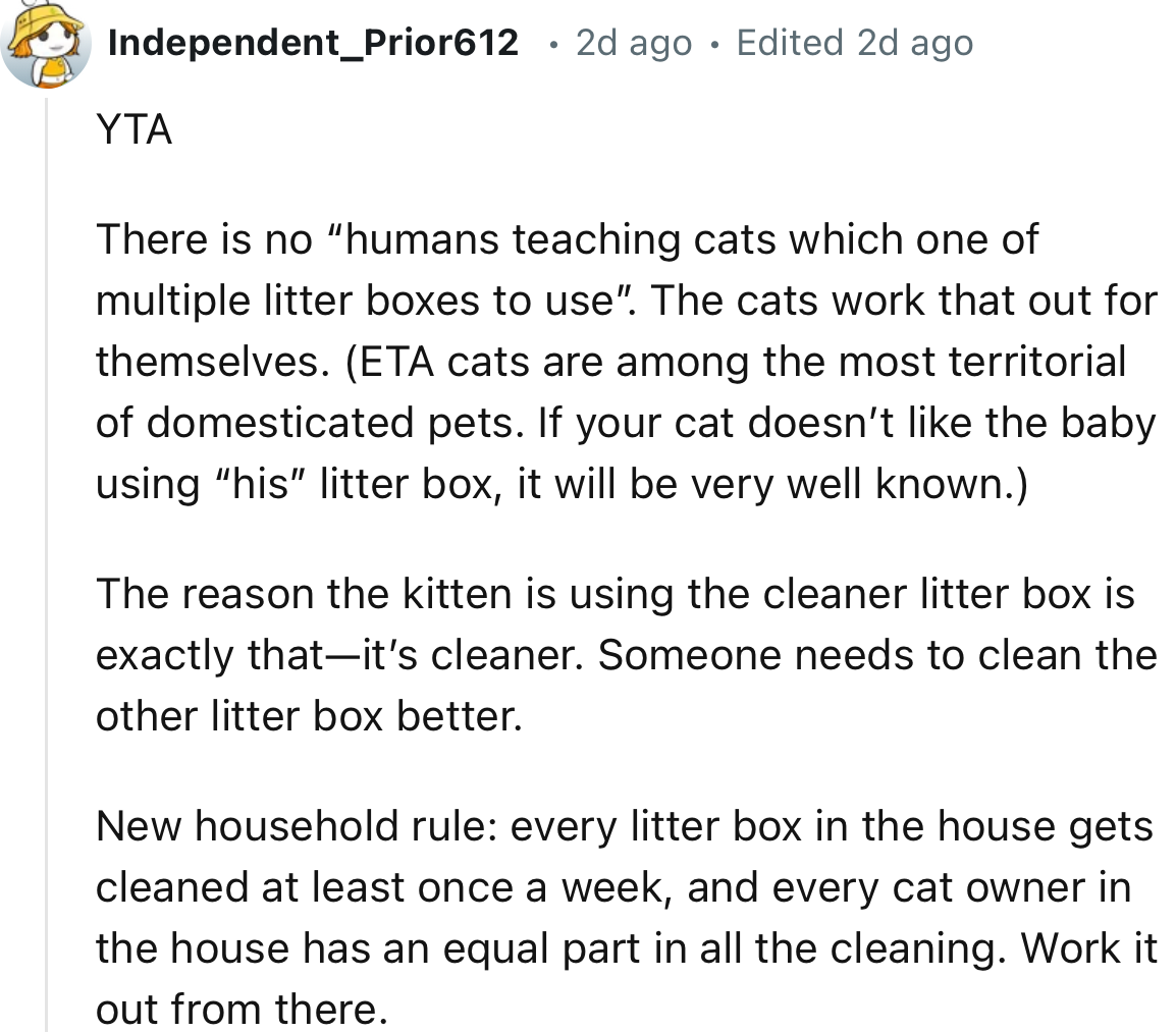 Frustrated Pet Parent Orders Roommate To Keep Her Kitten Away From ...