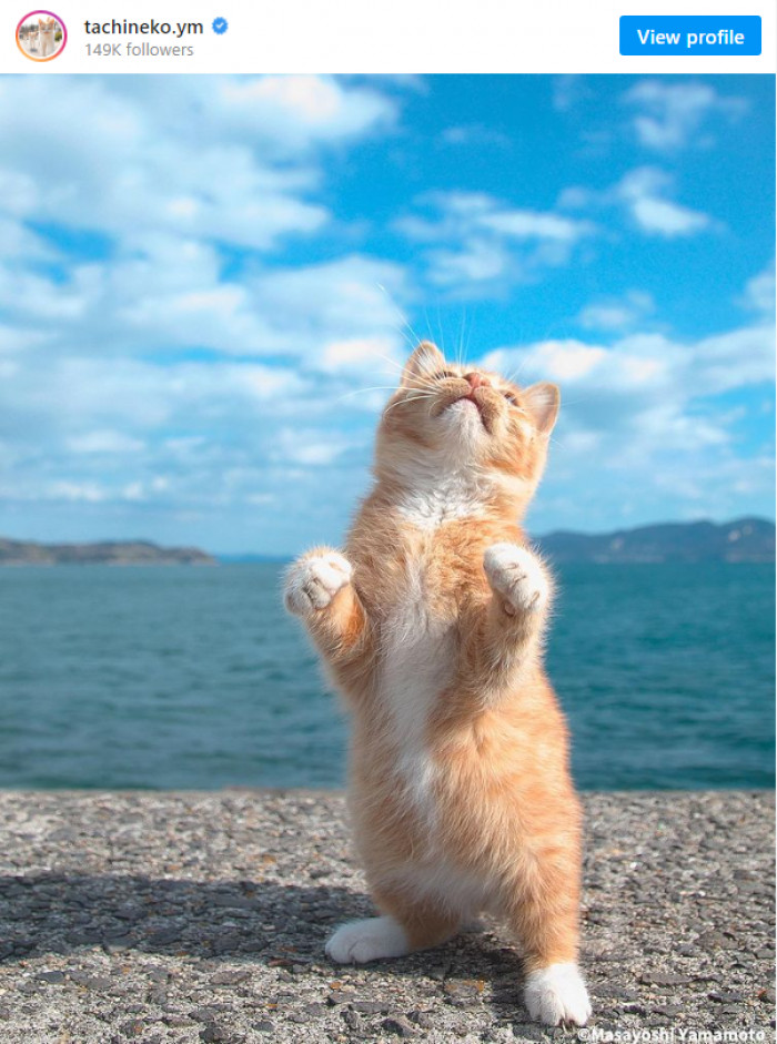 Start Your Day With A Smile By Scrolling Through These 15 Uber Cute ...