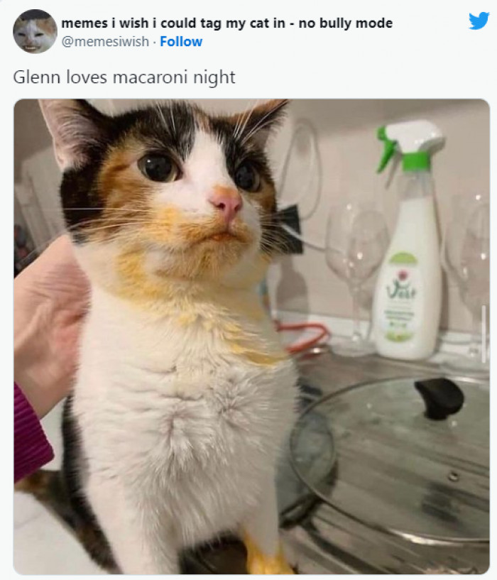 20+ Of The Cutest And Funniest Tweets About Pets That Can Be Found On ...