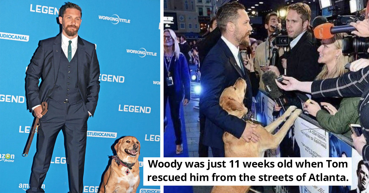 Tom Hardy's Amazing Rescue Of His Dog Woody Has Helped Advocate For The ...