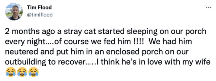 Twitter User Adopts A Stray Cat And Everyone Is Understandably Obsessed