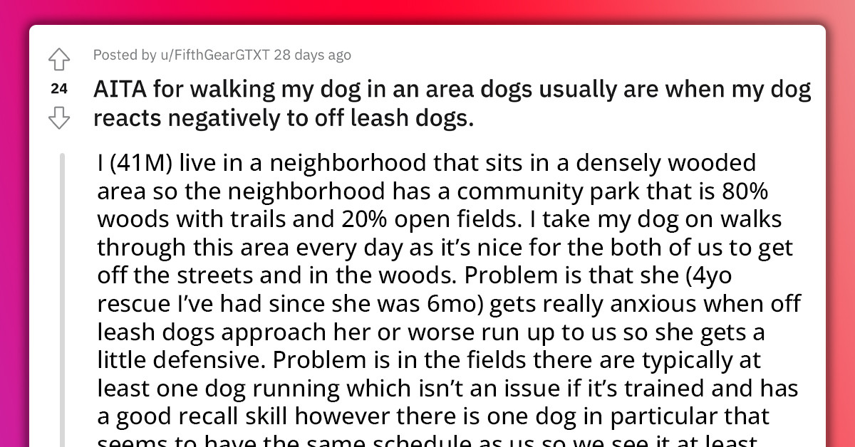 Redditor Asks If He's An A**hole For Willingly Taking His Anxious Dog ...
