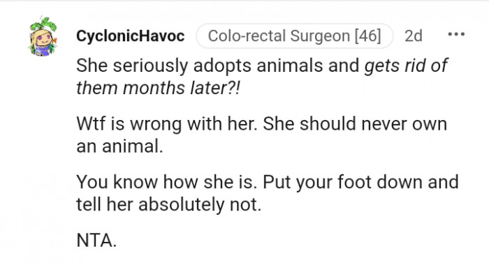 Redditor Gets Online Support For Refusing To Take Responsibility Of Getting A Dog His GF Wants