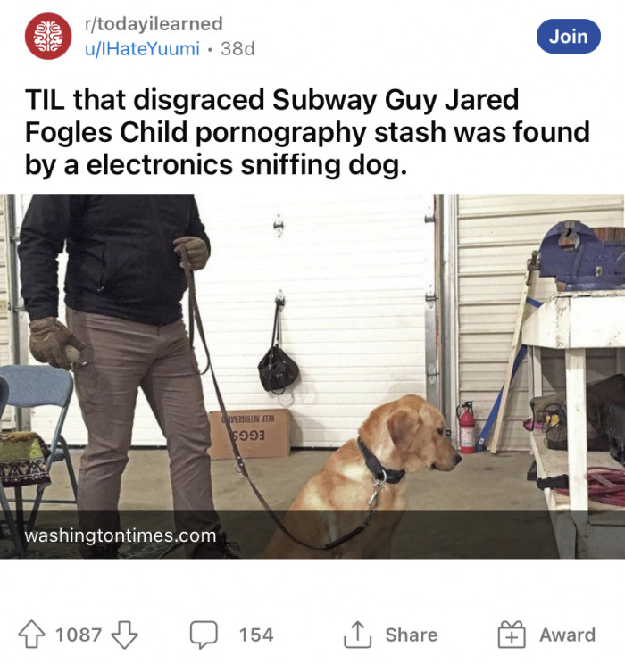 An Electronics Sniffing Dog Was Responsible For Ex-Subway Spokesman ...