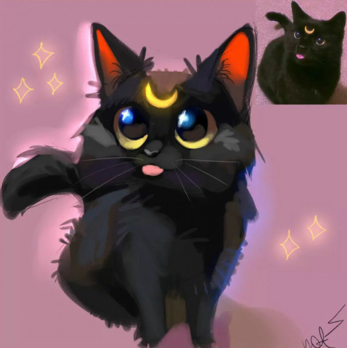 31 Of The Most Adorable Cartoon-Like Animal Illustrations You'll Ever ...