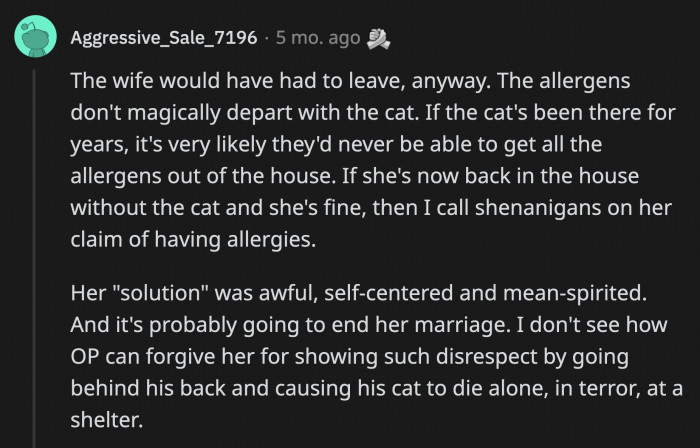 A Marriage Is In Peril After Pregnant Cat-Allergic Wife Surrenders Her ...
