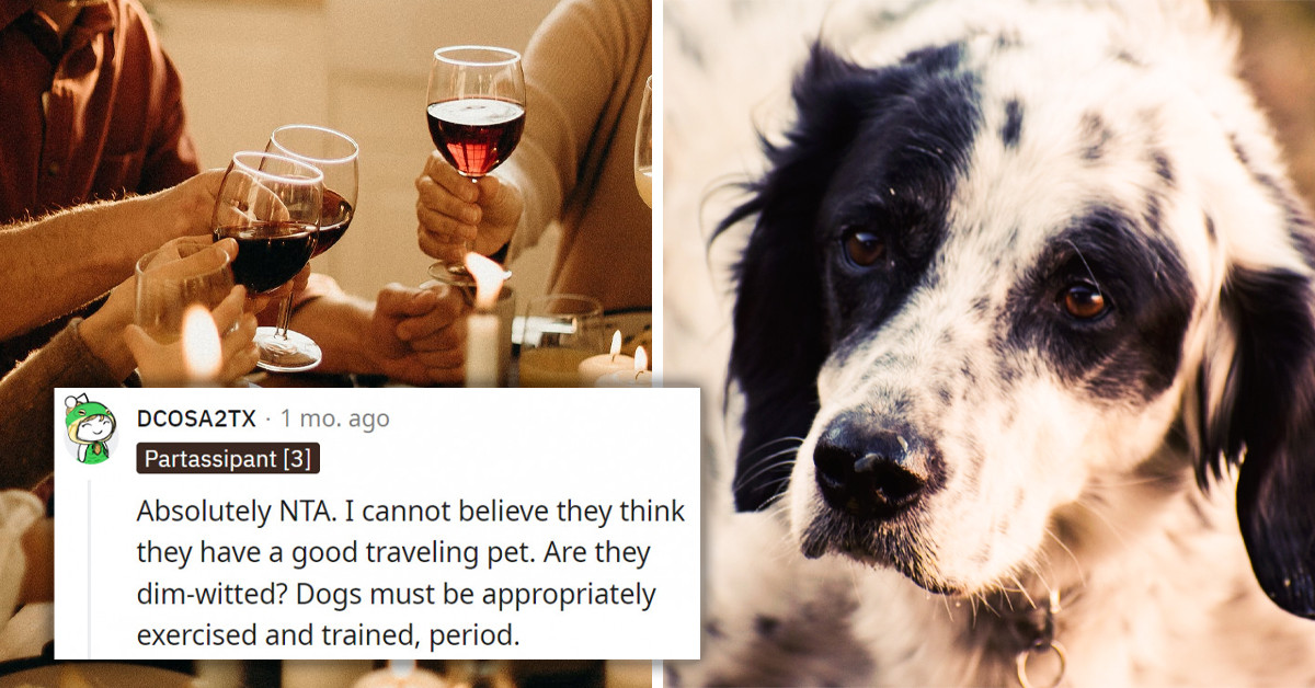 Redditor Tells MIL That Her Poorly Trained Dog Is Not Allowed To Visit ...