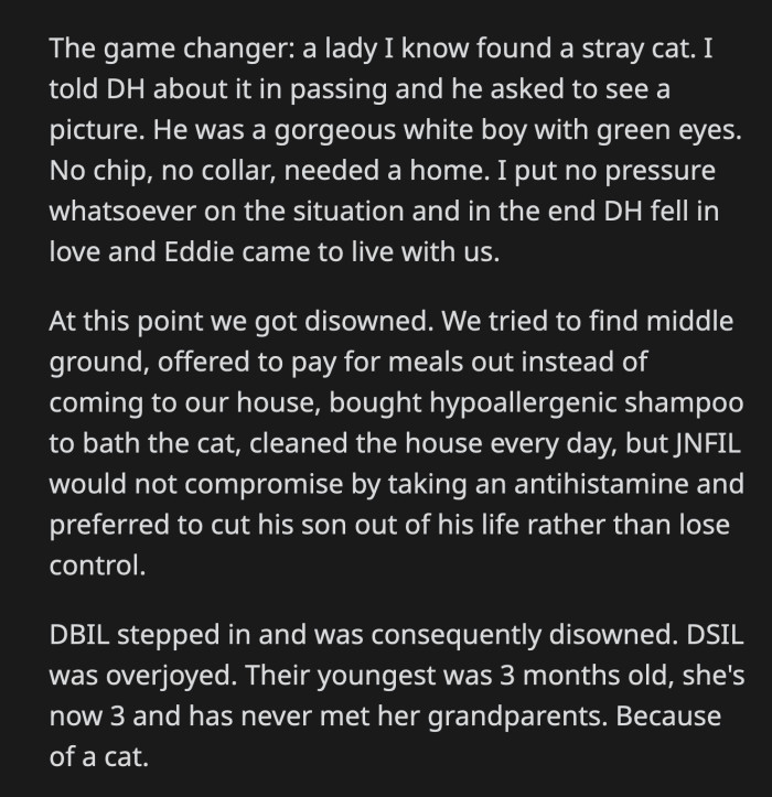 Adopting Cats Saves Husband And Wife From Dealing With His Overbearing ...