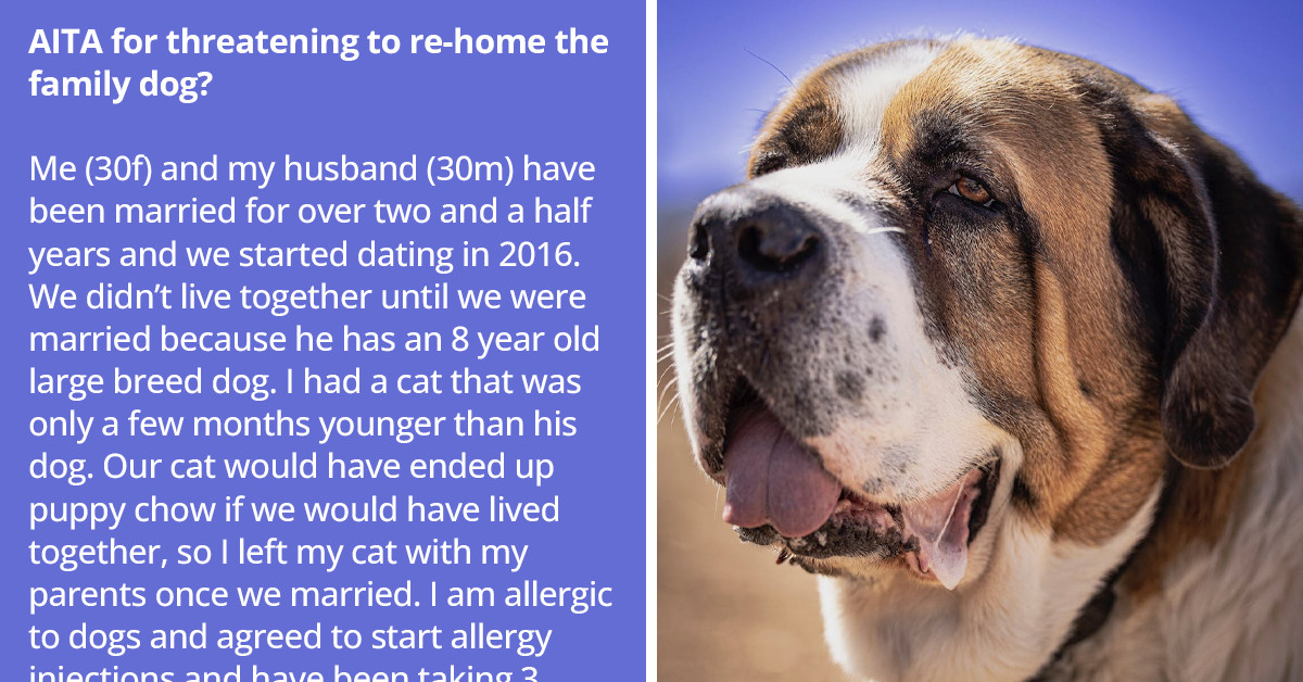 Allergic Wife Threatens to Re-Home Husband’s Dog Over Mess